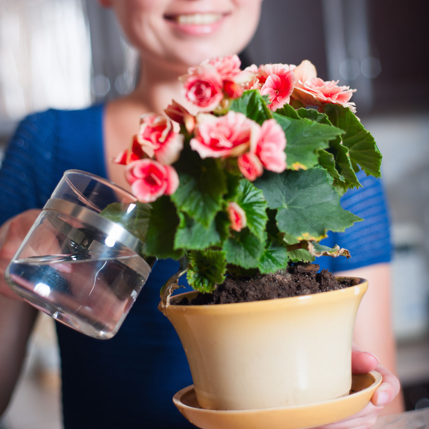 17 Easiest Indoor Plants To Grow From Seed Insider Monkey